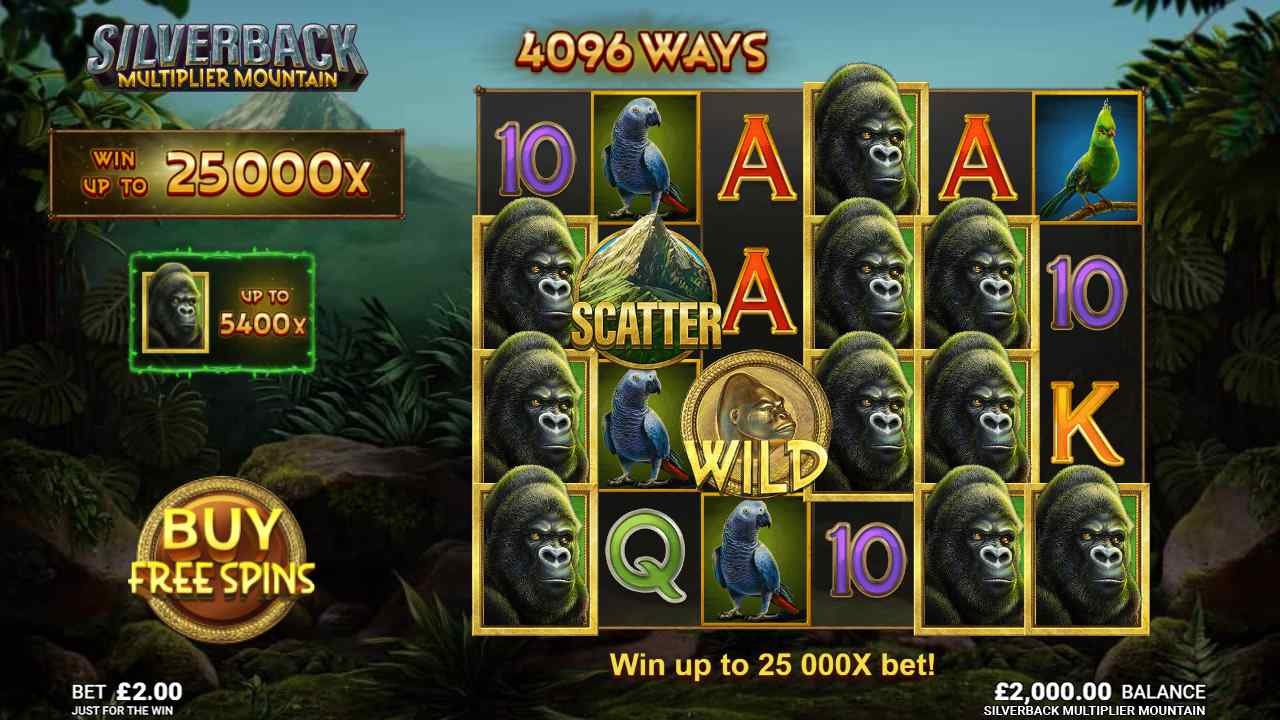 Silverback Multiplier Mountain-Microgaming(MG) New Game | Game Page ...