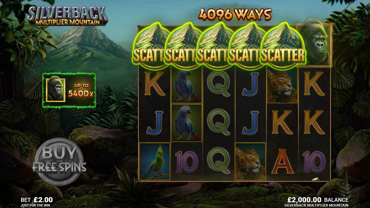 Silverback Multiplier Mountain-Microgaming(MG) New Game | Game Page ...